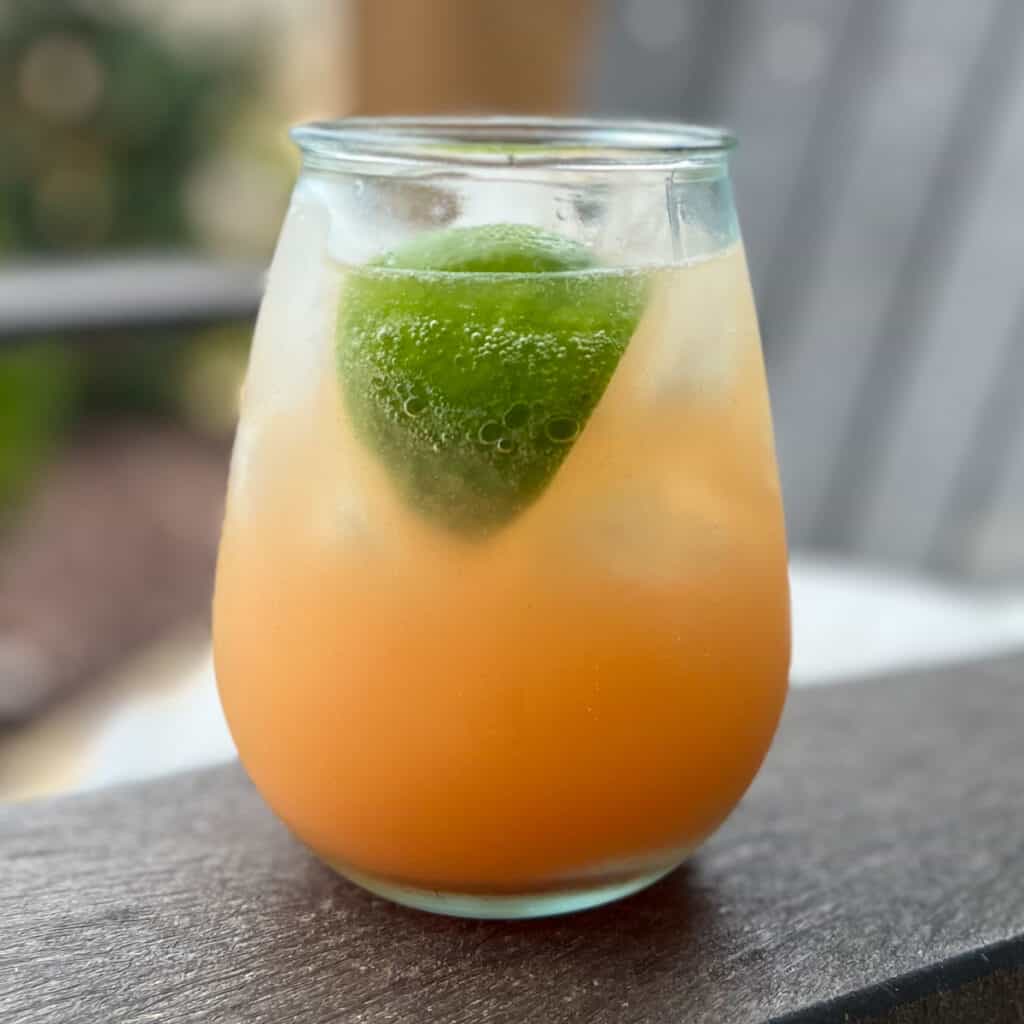 Grapefruit Mocktail [NO ADDED SUGAR] - Daniel's Plate